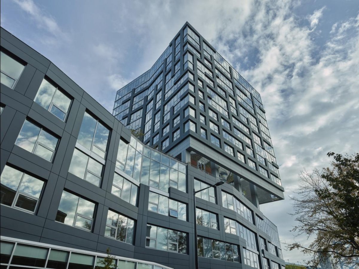 Bridge (2016) Peter L. Gluck